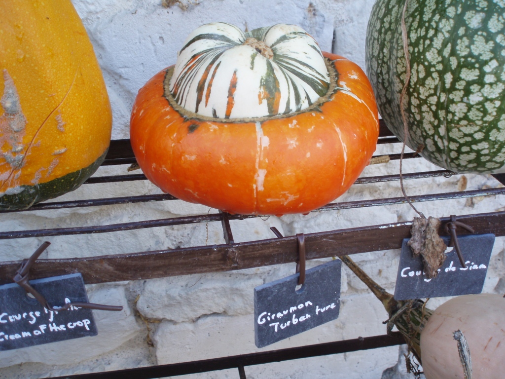 The French Pumpkin Patch - French Affaires